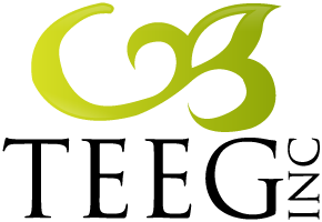 TEEG Inc. - intelligently designed HVAC systems