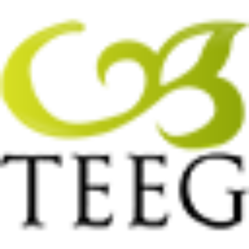 TEEG Services | TEEG Inc.